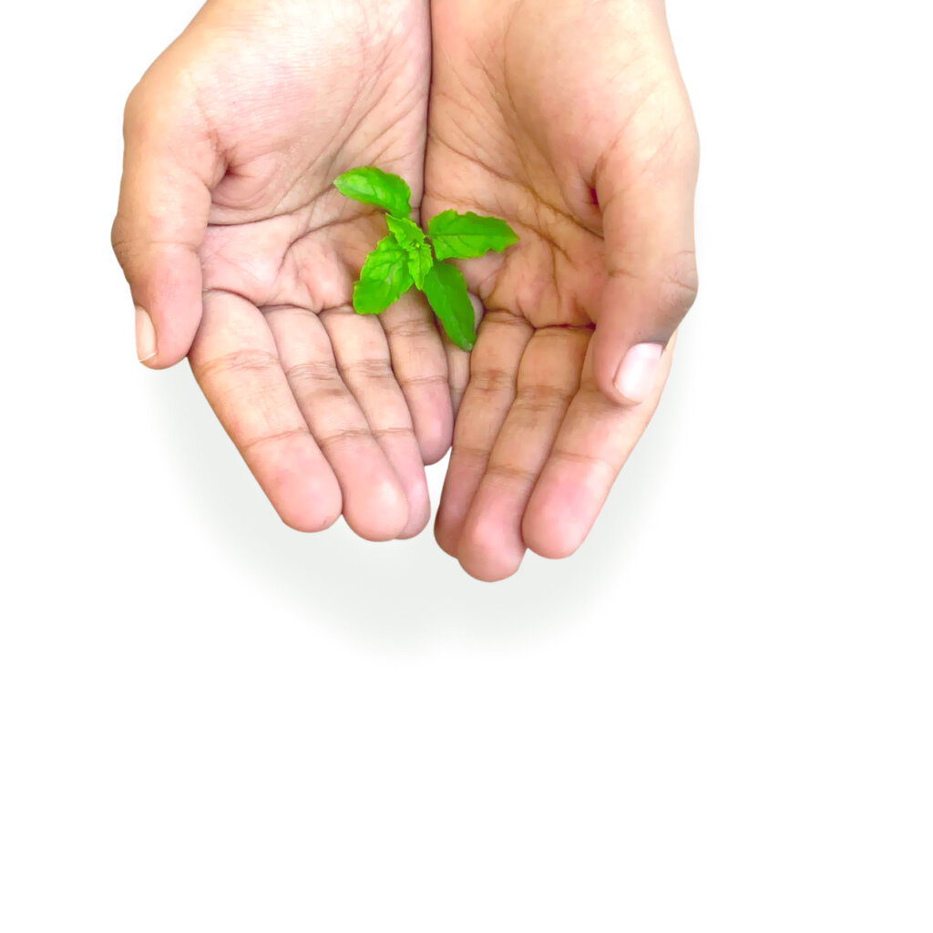 Plant Hand Grow - Hind Artist